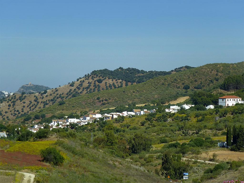 Montecorto - Calendario de eventos en las sierras, serranías y sus pueblos